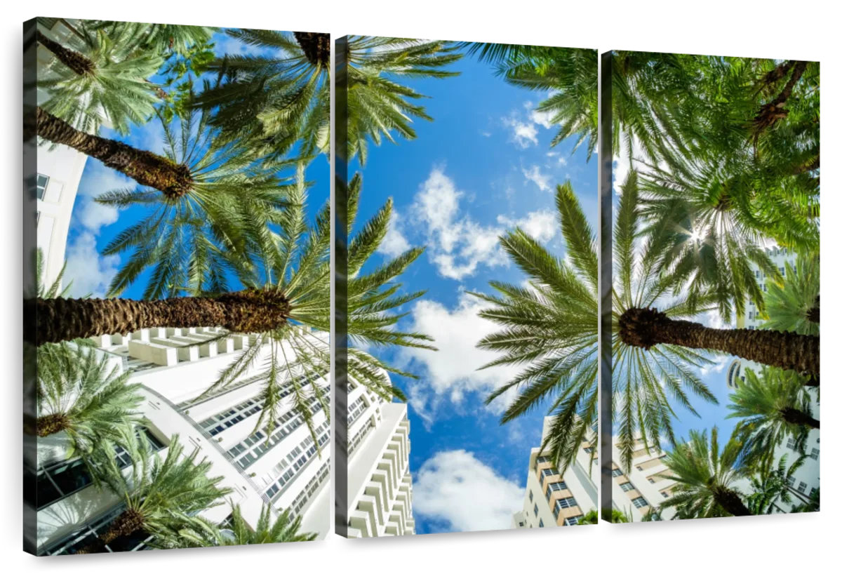Ebern Designs Under Miami Palms | Wayfair