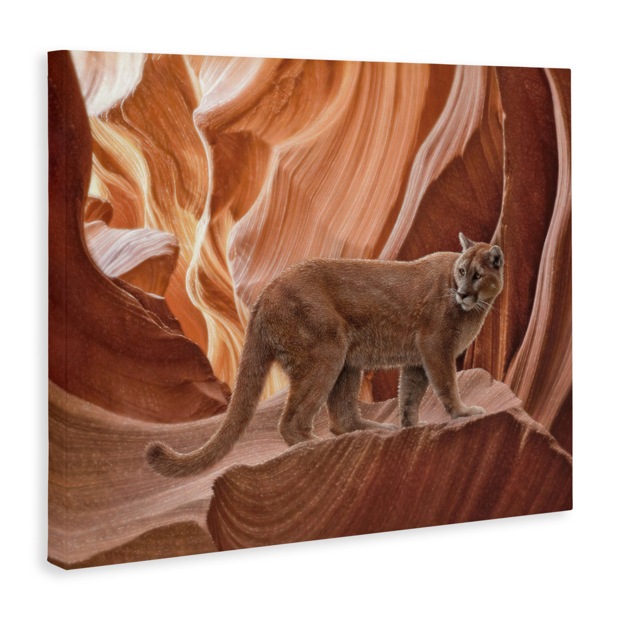 Union Rustic Cougar Canyon View Canvas, design by Collin Bogle | Wayfair