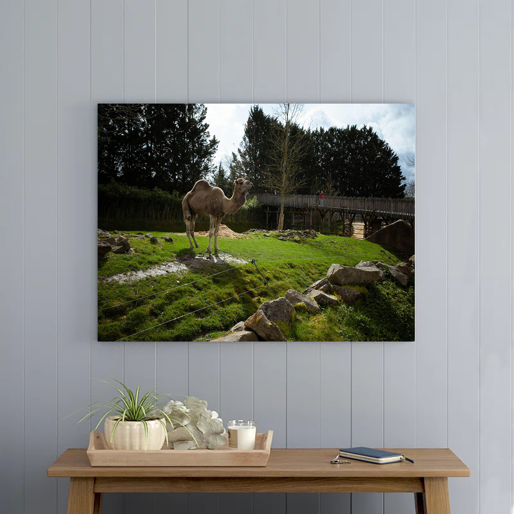Union Rustic Camel in Zoo | Wayfair
