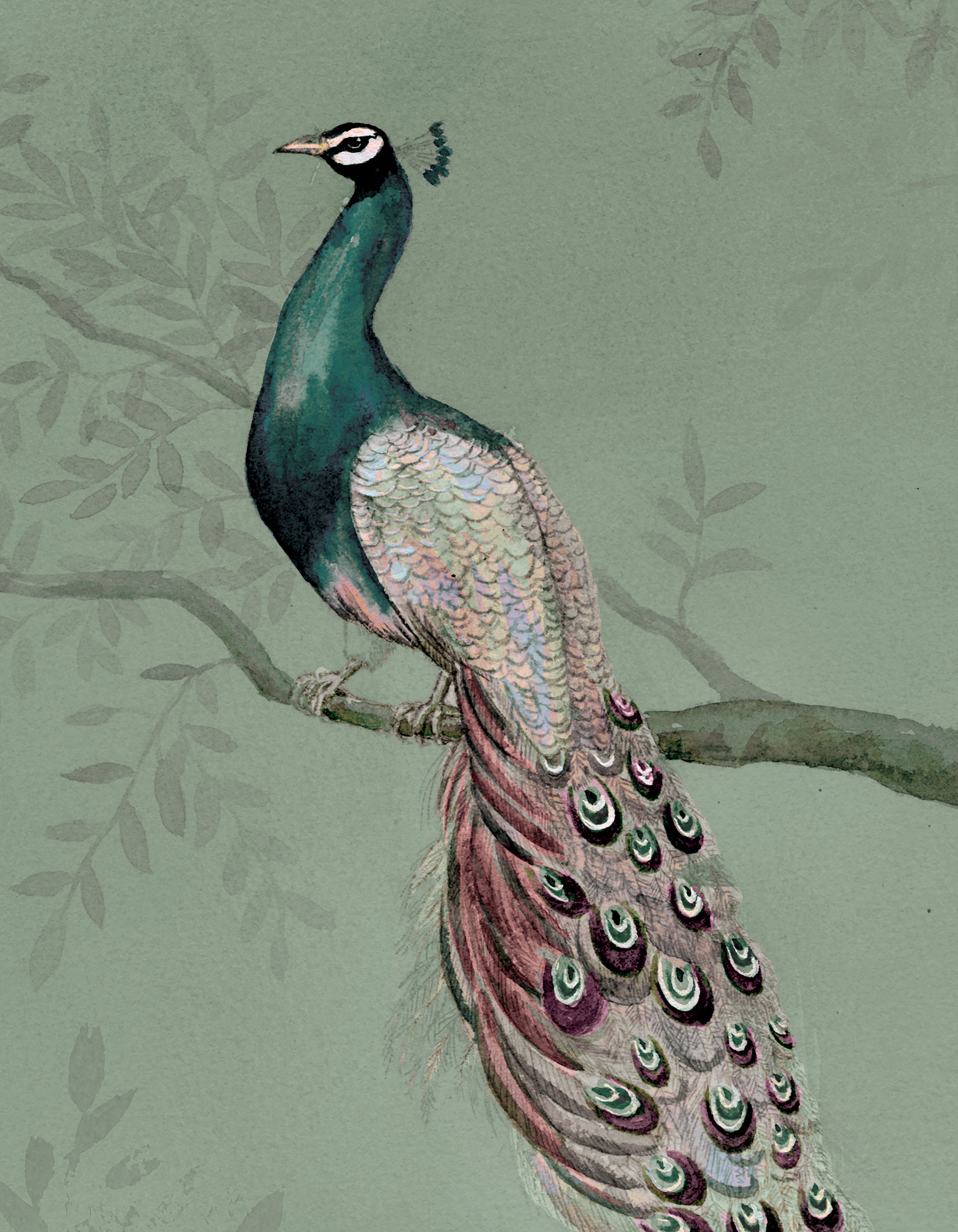 Winston Porter Peacock by Unknown | Wayfair