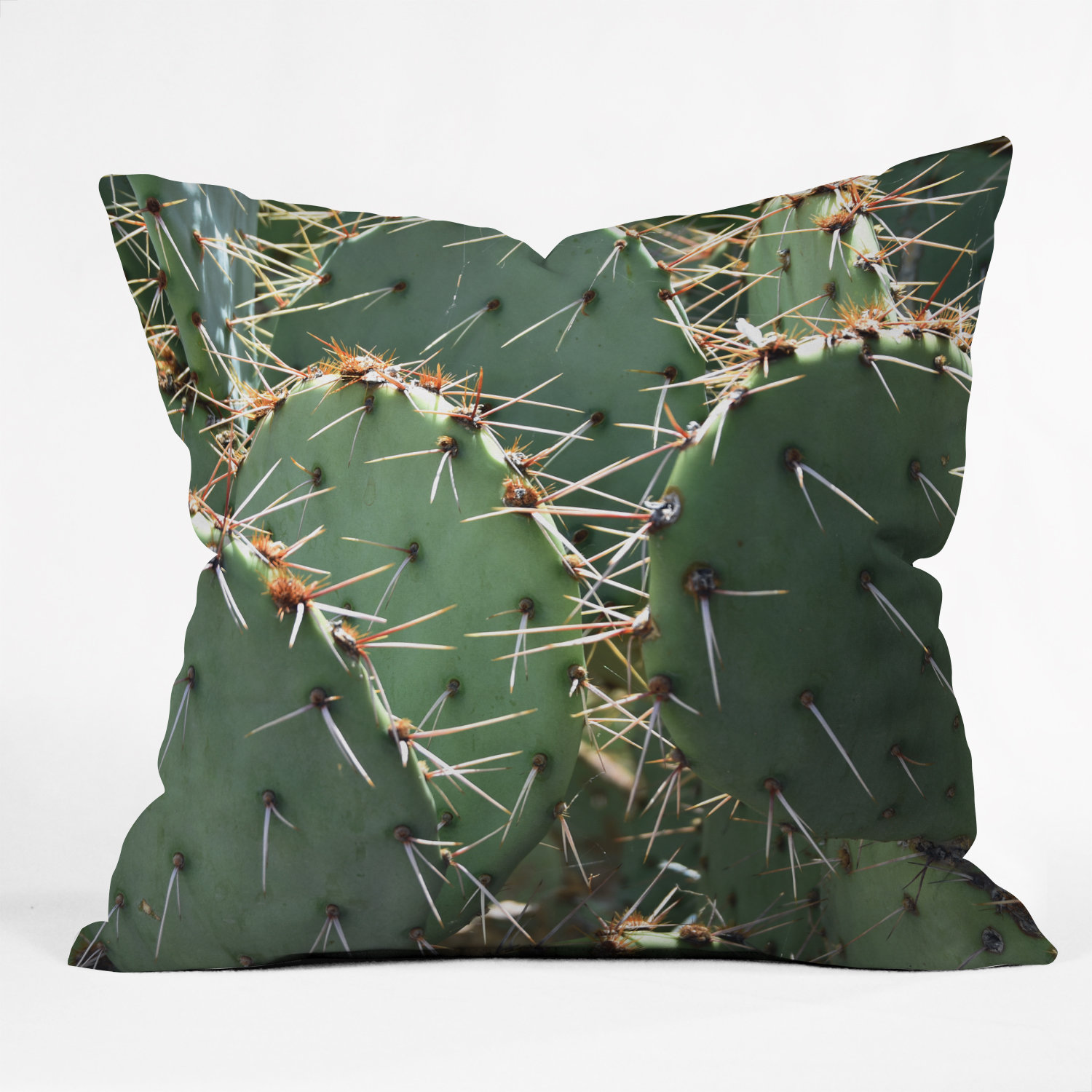 Deny Designs Lisa Argyropoulos Prickly Indoor/Outdoor Throw Pillow ...
