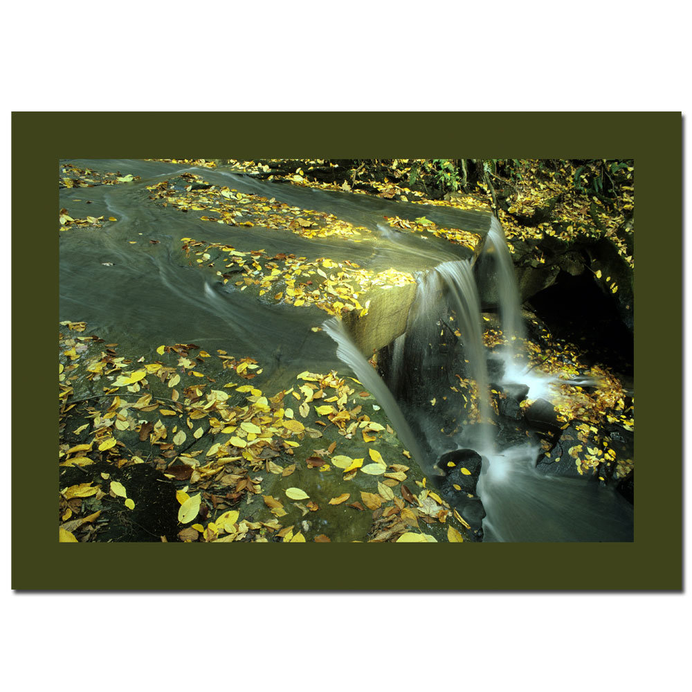 Trademark Fine Art 'Metropark Autumn Fall' by Kurt Shaffer Photographic ...