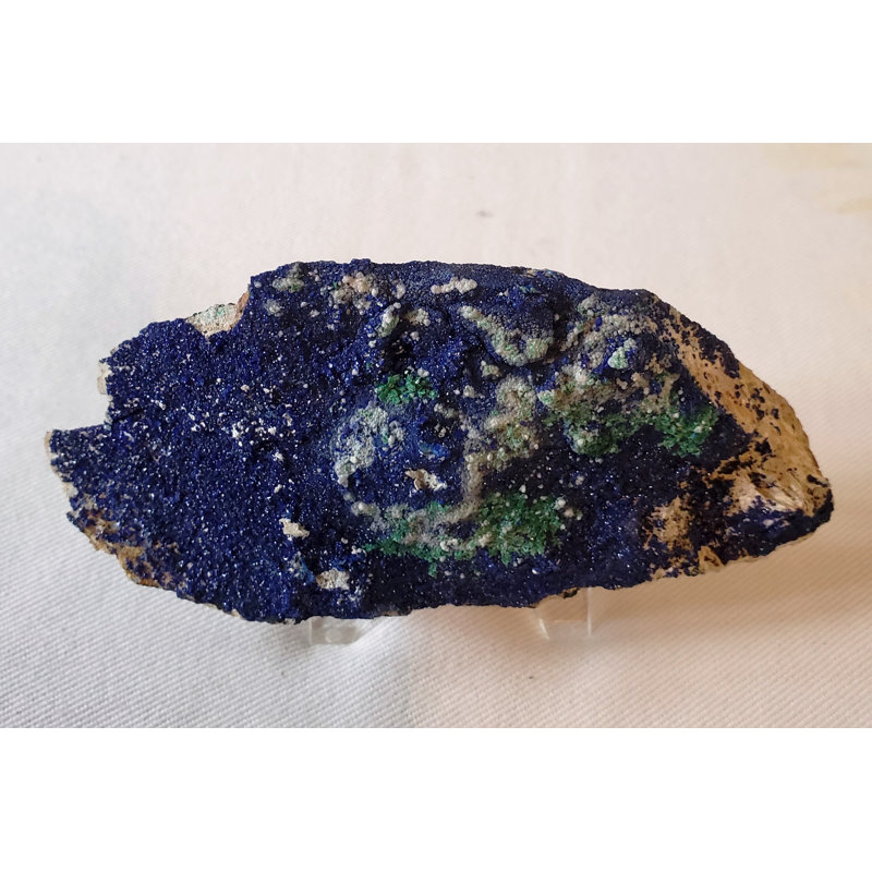 Highland Dunes Hallie Nature Figurine / Sculpture | Wayfair