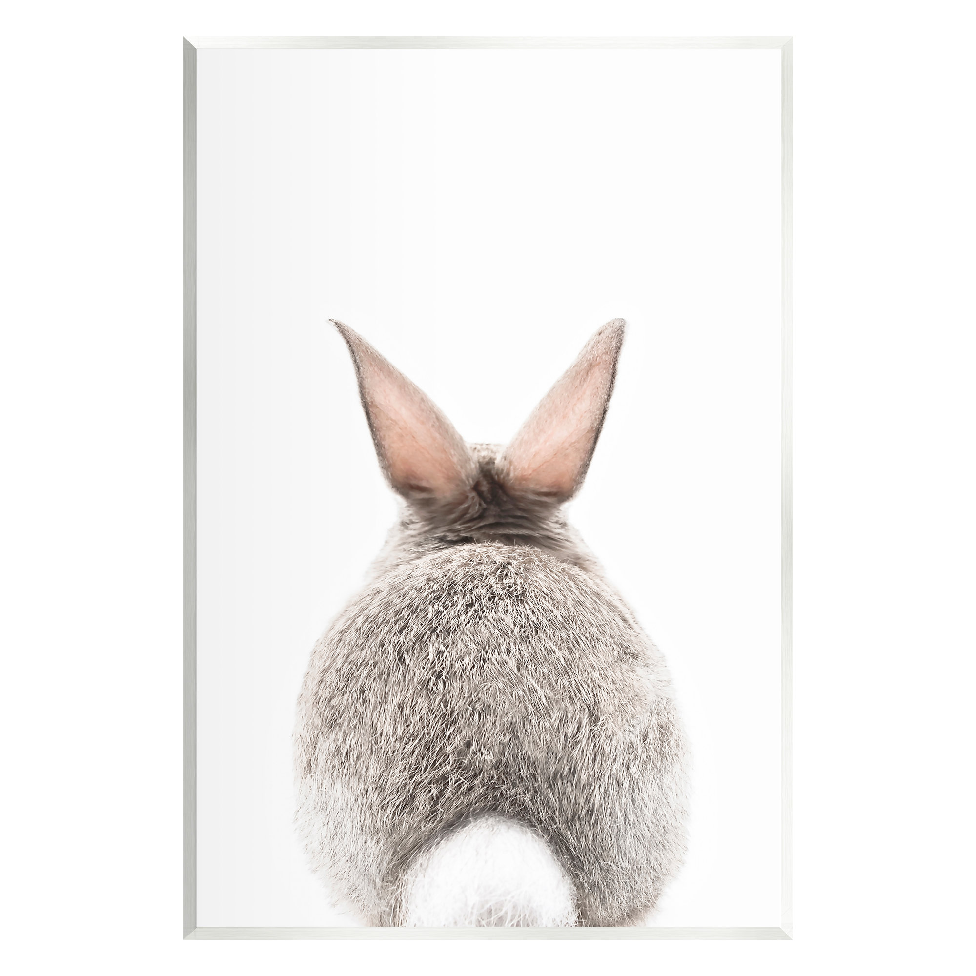 Stupell Industries Ax-499-Wood Rabbit Tail On White On MDF by Sisi And ...