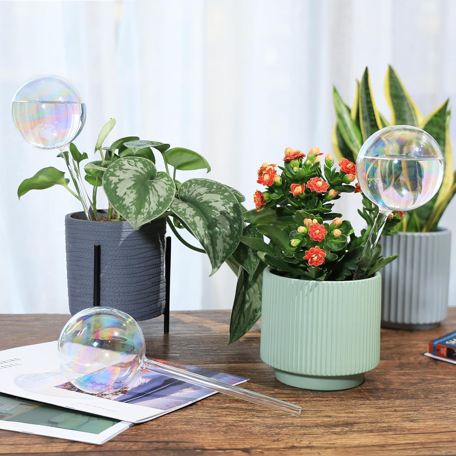 ENDOSTO Extra Large Plant Self Watering Globes, Light Iridescent Glass ...