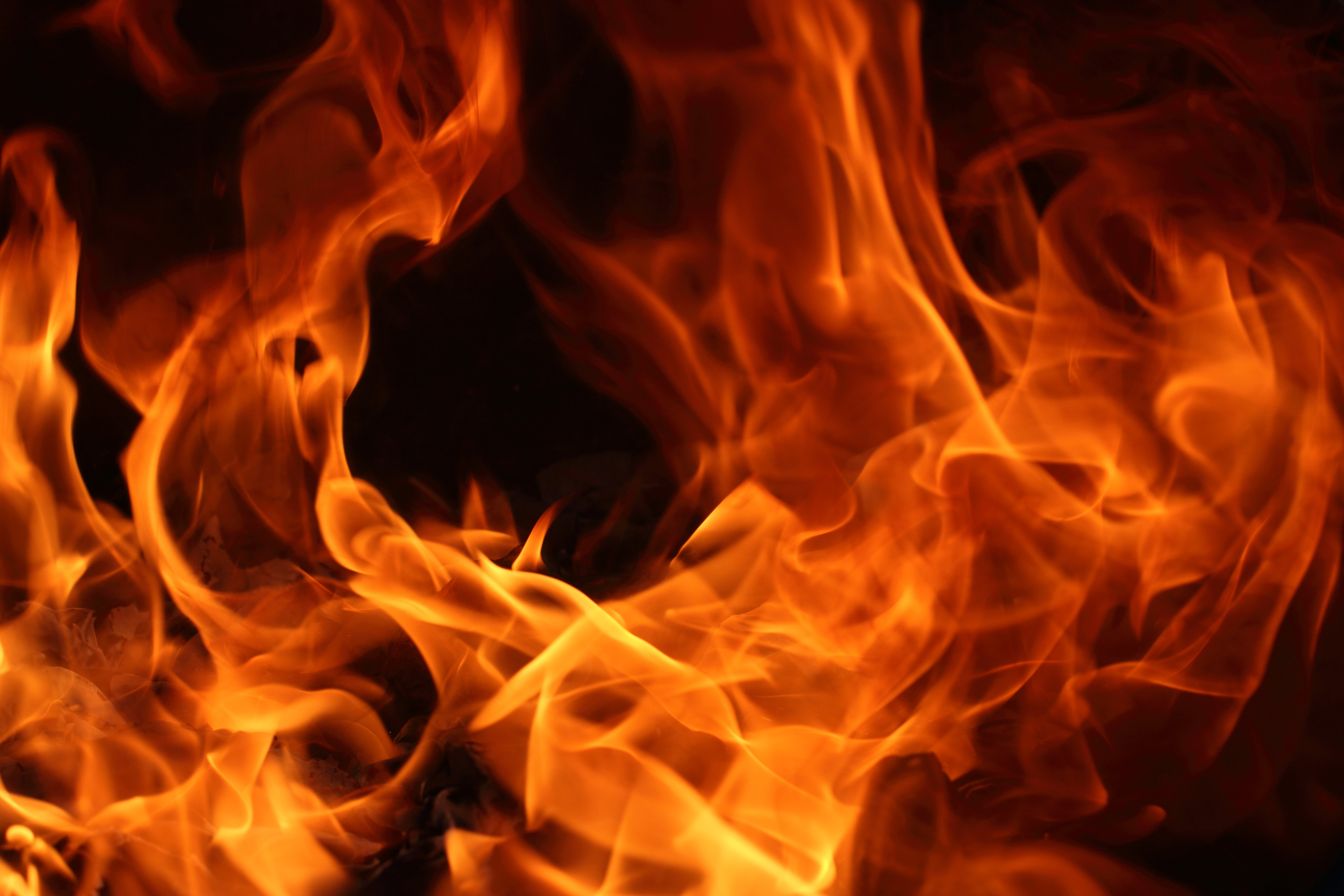 Wrought Studio™ Flame - Wrapped Canvas Photograph | Wayfair