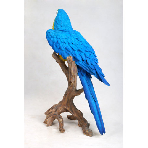 Hi-Line Gift Ltd. Macaw Statue & Reviews | Wayfair