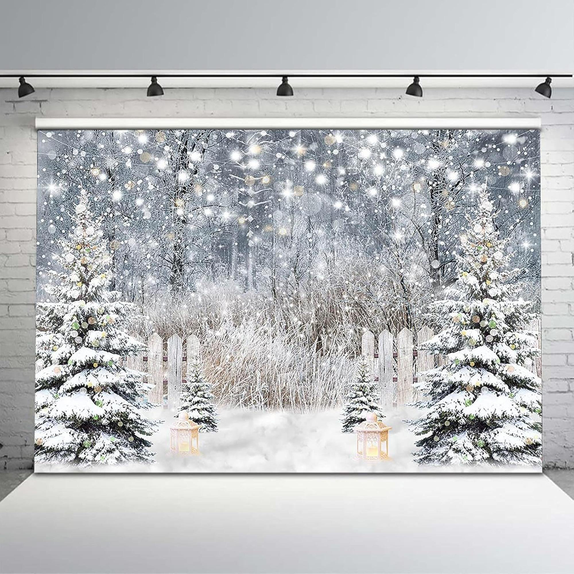 The Holiday Aisle® Winter Photography Backdrop Glitter Snowy Forest ...