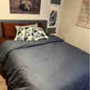 Winston Porter Deyani Low Profile Storage Platform Bed & Reviews | Wayfair