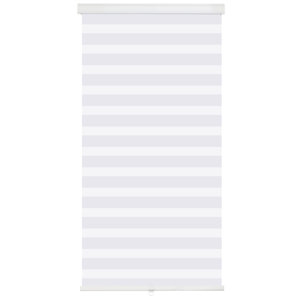 Symple Stuff Cordless Room Darkening Semi-Sheer Roller Shade | Wayfair