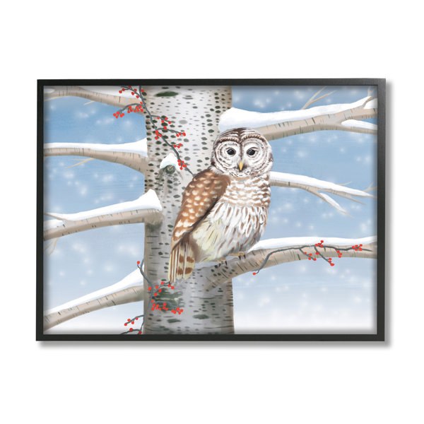 Stupell Industries Snowy Birch Tree Owl Framed On Wood by Caro ...