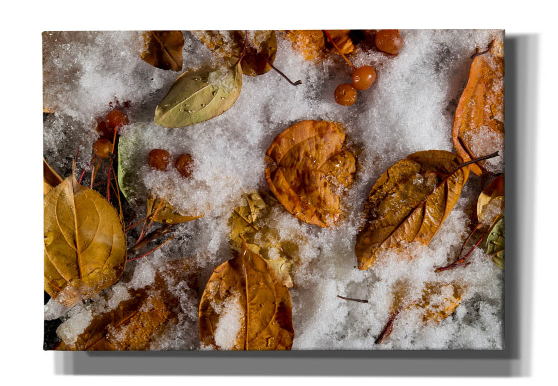 Union Rustic 'Autumn 21' by Gordon Semmens Canvas Wall Art | Wayfair
