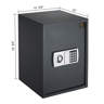 Paragon Safes Digital Safe Box for Home with 2 Manual Override Keys ...