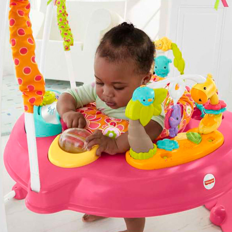 Fisher-Price Accessories & Parts - Wayfair Canada
