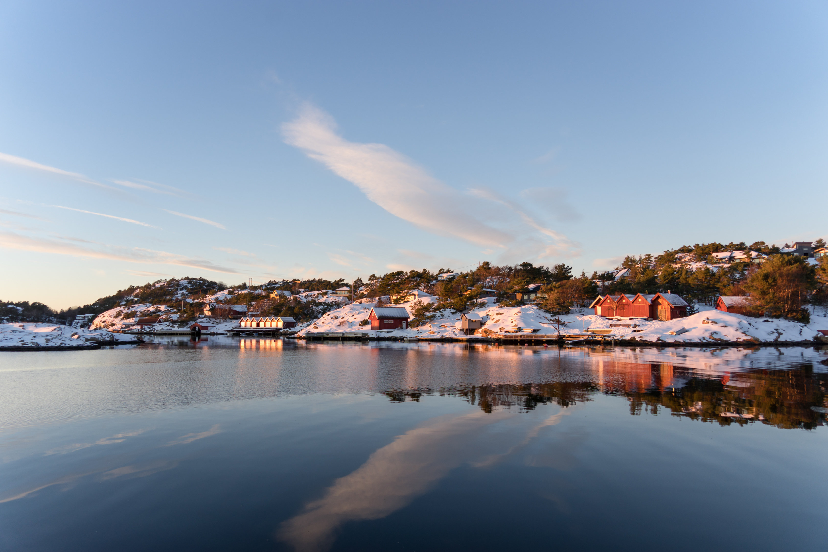 Latitude Run Zebadiah Frozen Summer Paradise - Print | Wayfair.co.uk