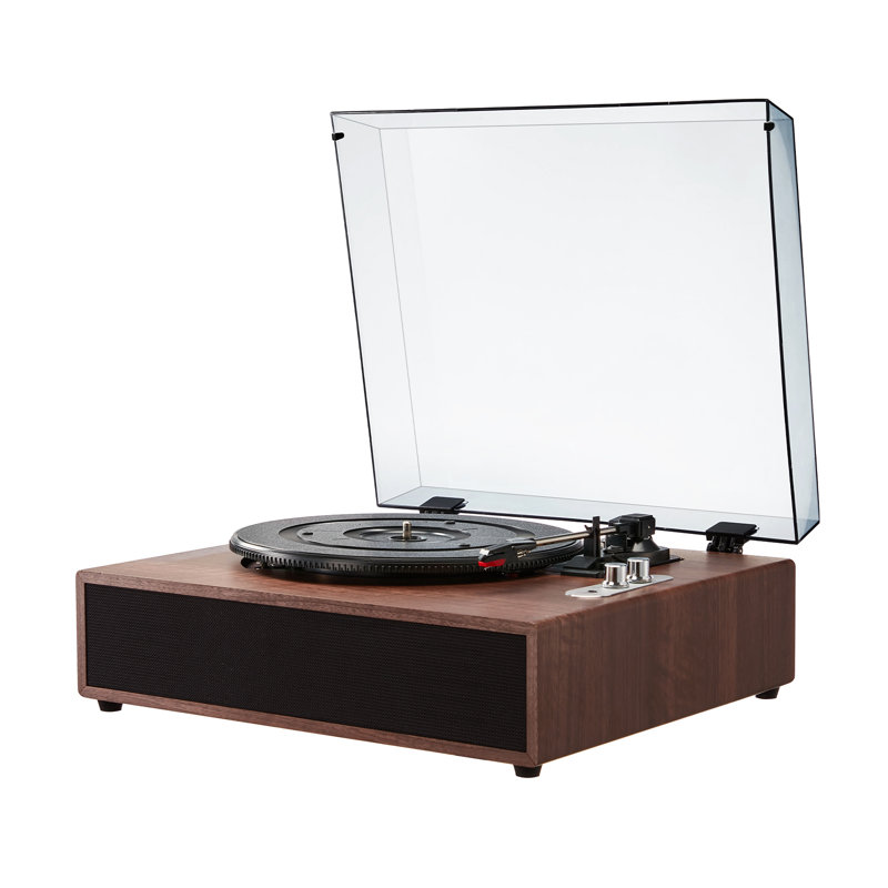 VEVOR Portable Decorative Record Player with Bluetooth | Wayfair