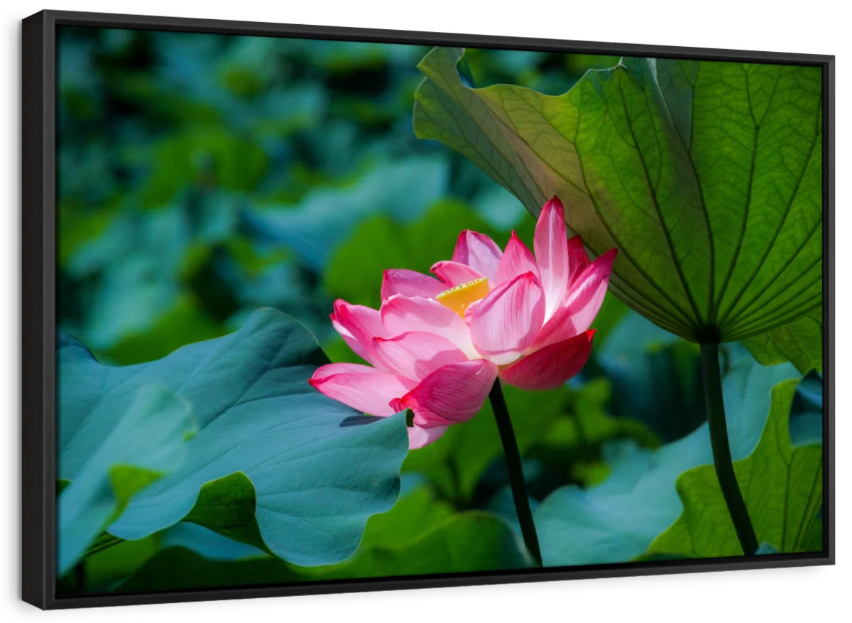 Wildon Home® Floral And Botanical " Wild Lotus Flower " | Wayfair