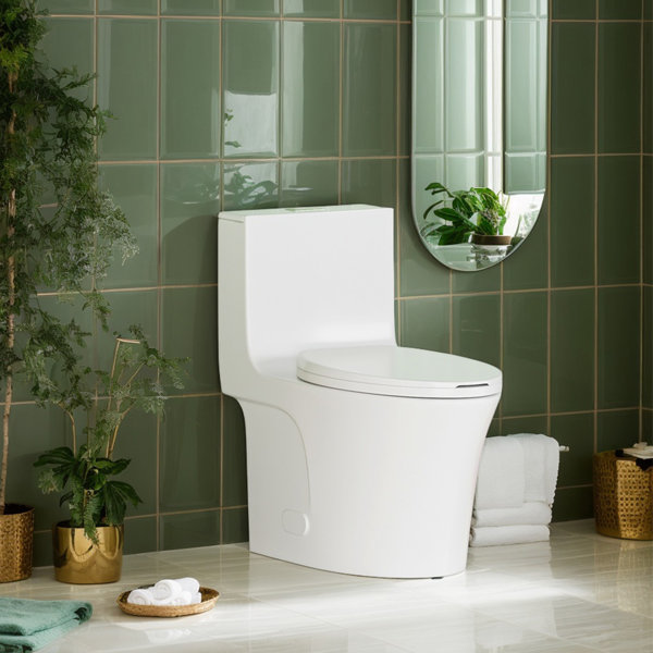 iYofe 1.6GPF Dual-Flush One-Piece Toilet, Sater-Saving Elongated ...