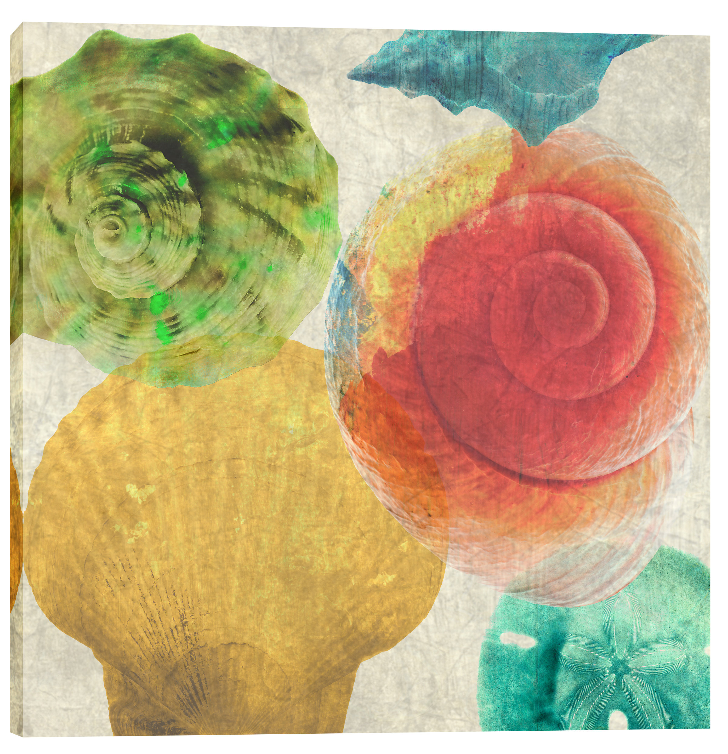 Epic Graffiti Luminous Seashells 4 by Elena Ray - Wrapped Canvas ...