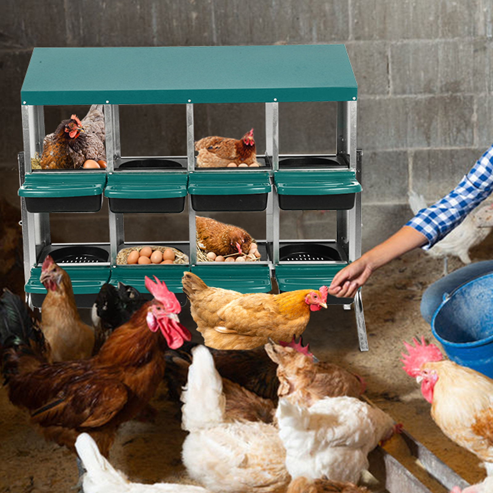 Archie & Oscar™ Chicken Nest Box, Chicken Nest Box With Lid To Protect ...
