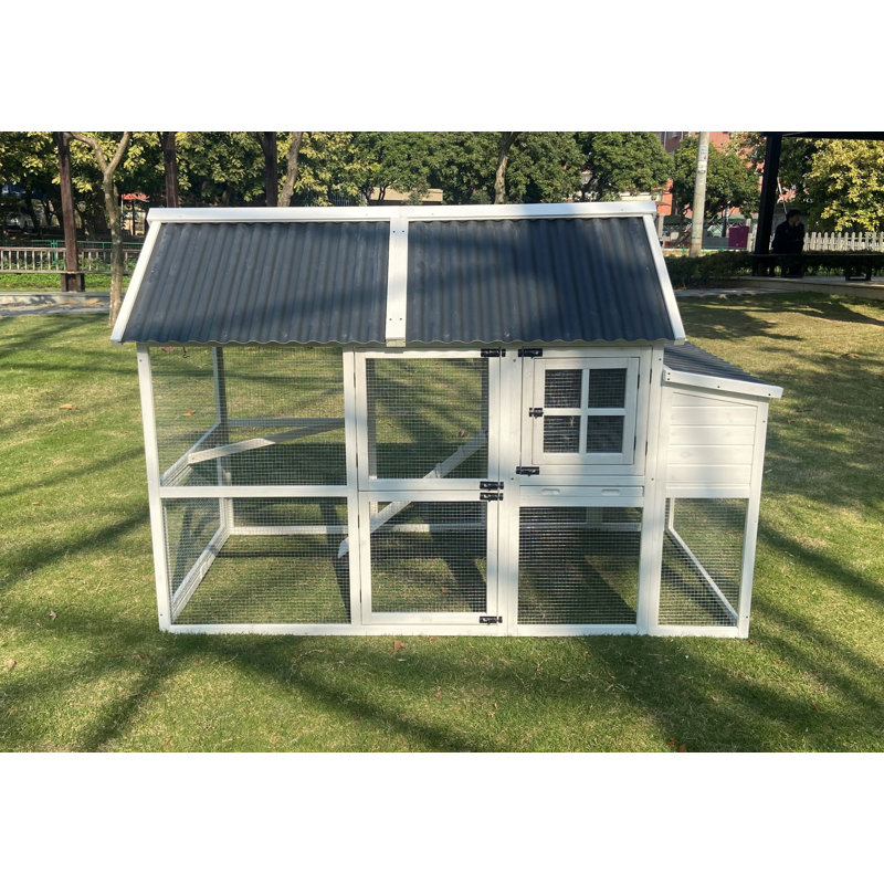 Zylina 25 Square Feet Chicken Coop with Nesting Box & Reviews | Wayfair