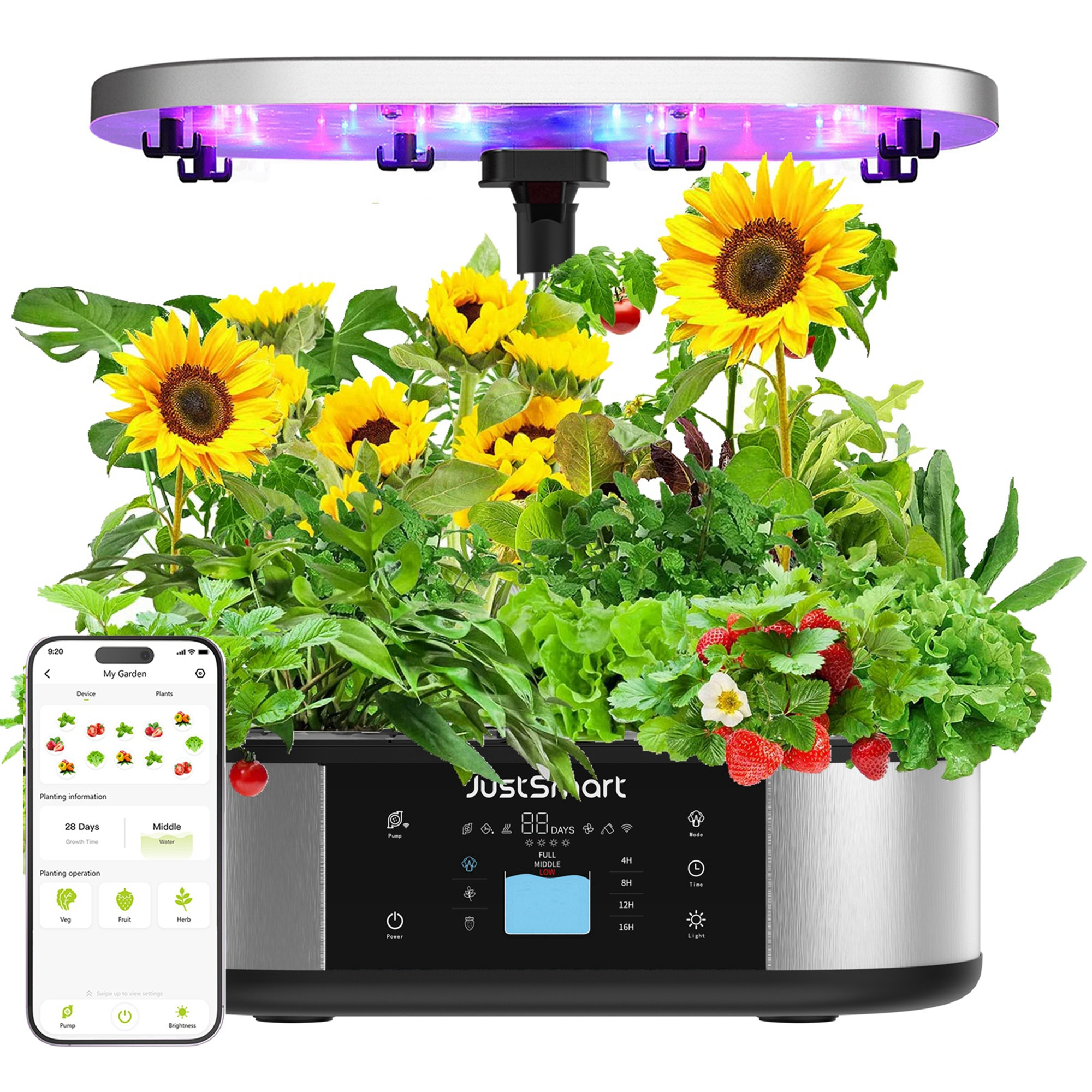 Euker 30 Watt Hydroponic Unit Herbs - Wayfair Canada