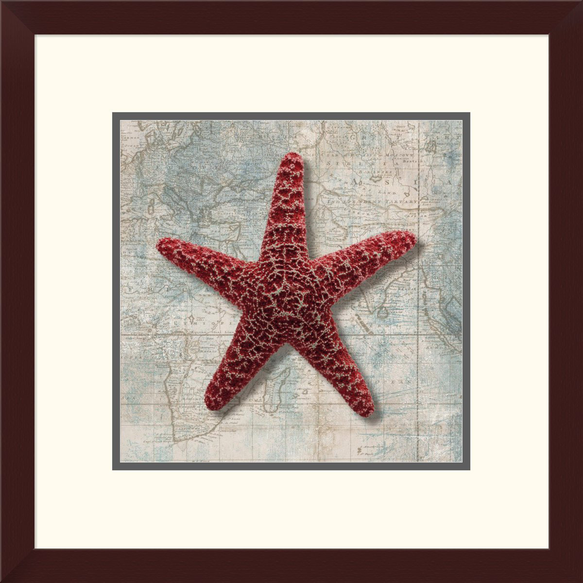 Global Gallery 'Starfish' by Ted Broome Framed Graphic Art | Wayfair