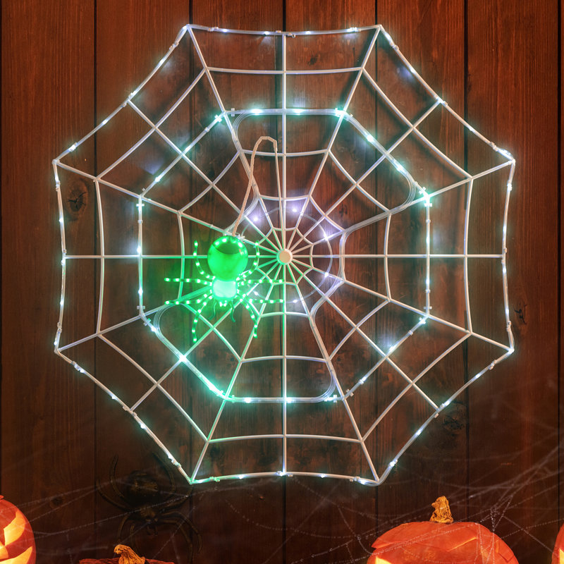 Mr. Halloween 4' Outdoor Animated Spider Web | Wayfair