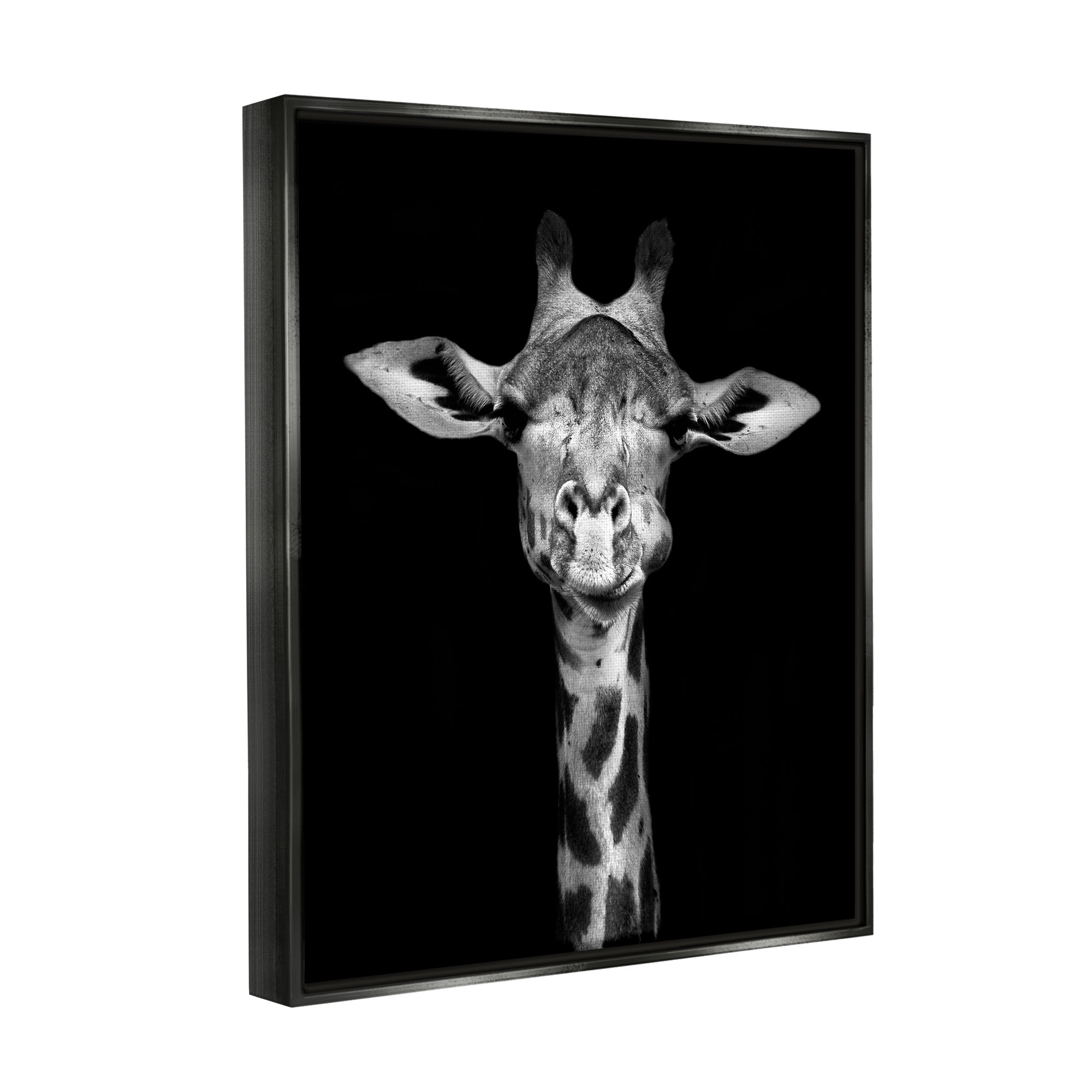 Stupell Industries Greyscale Zebra Stripes Detailed Photography ...