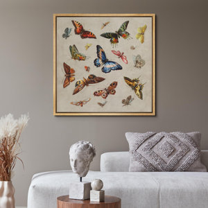 wall26 " Vintage Vibrant Butterfly Wilderness Illustrations Rustic ...