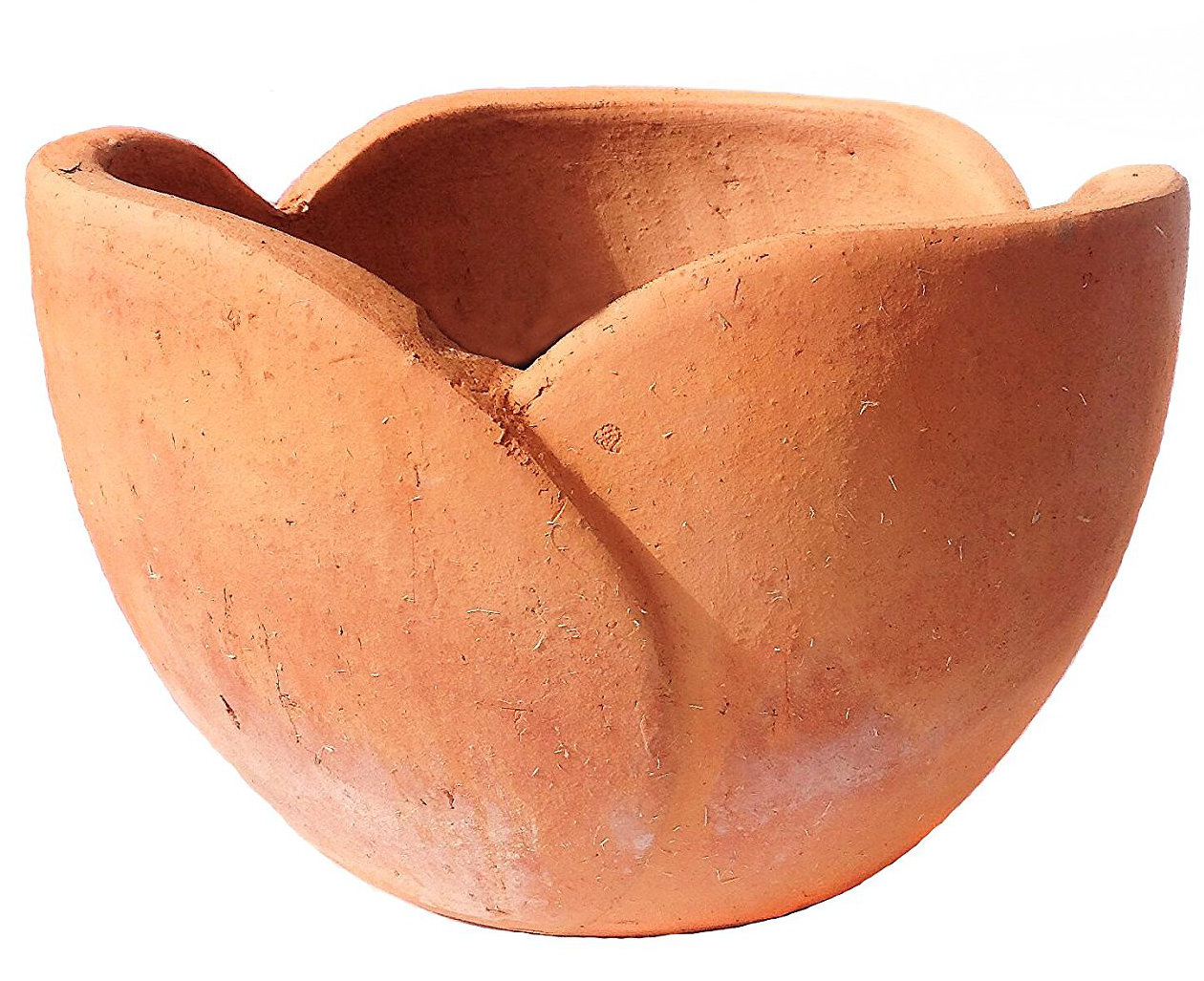 August Grove® Hortencia Hand Pressed Ancient Stressed Petal Terracotta ...