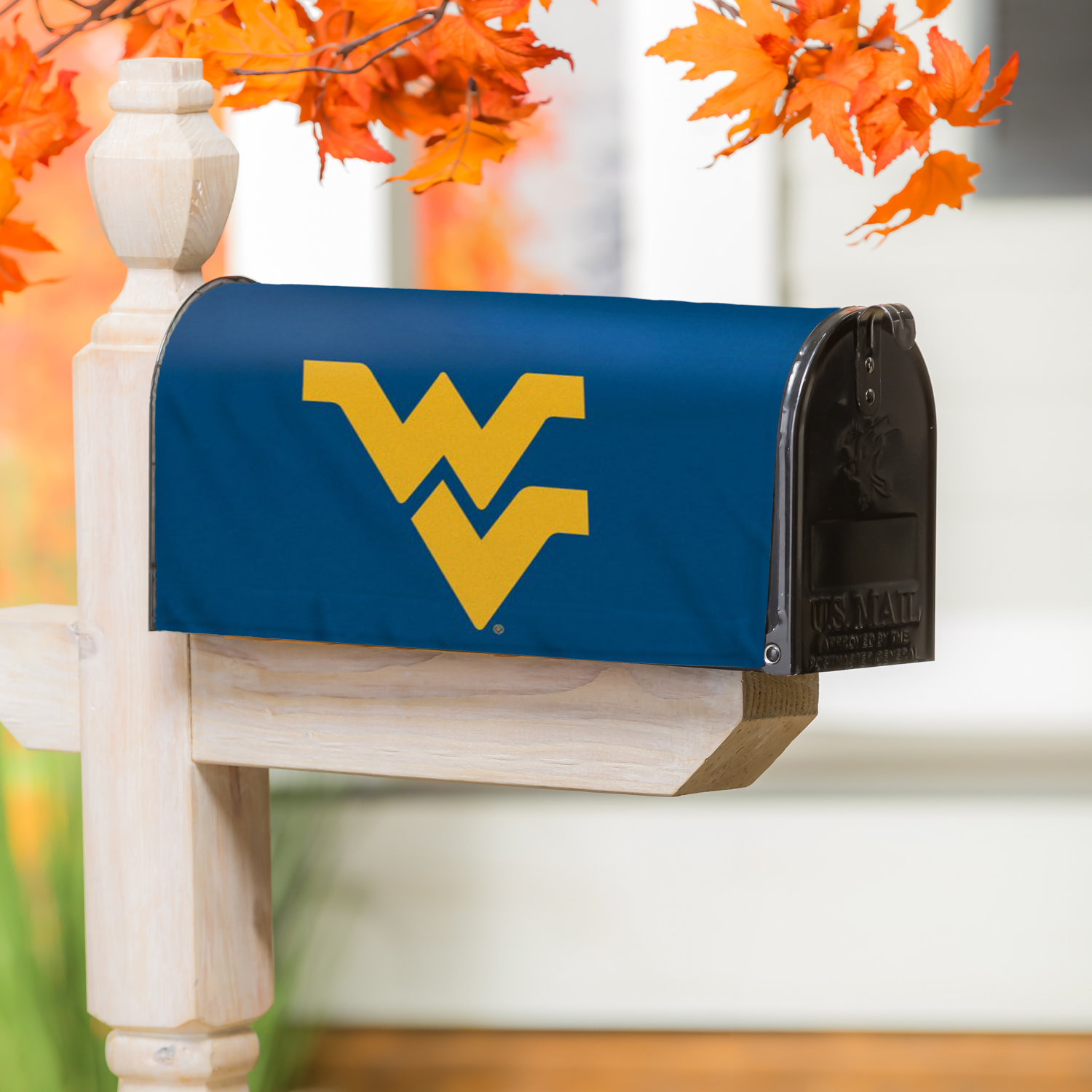 Evergreen Enterprises, Inc Polyester Sports Magnetic Mailbox Cover ...