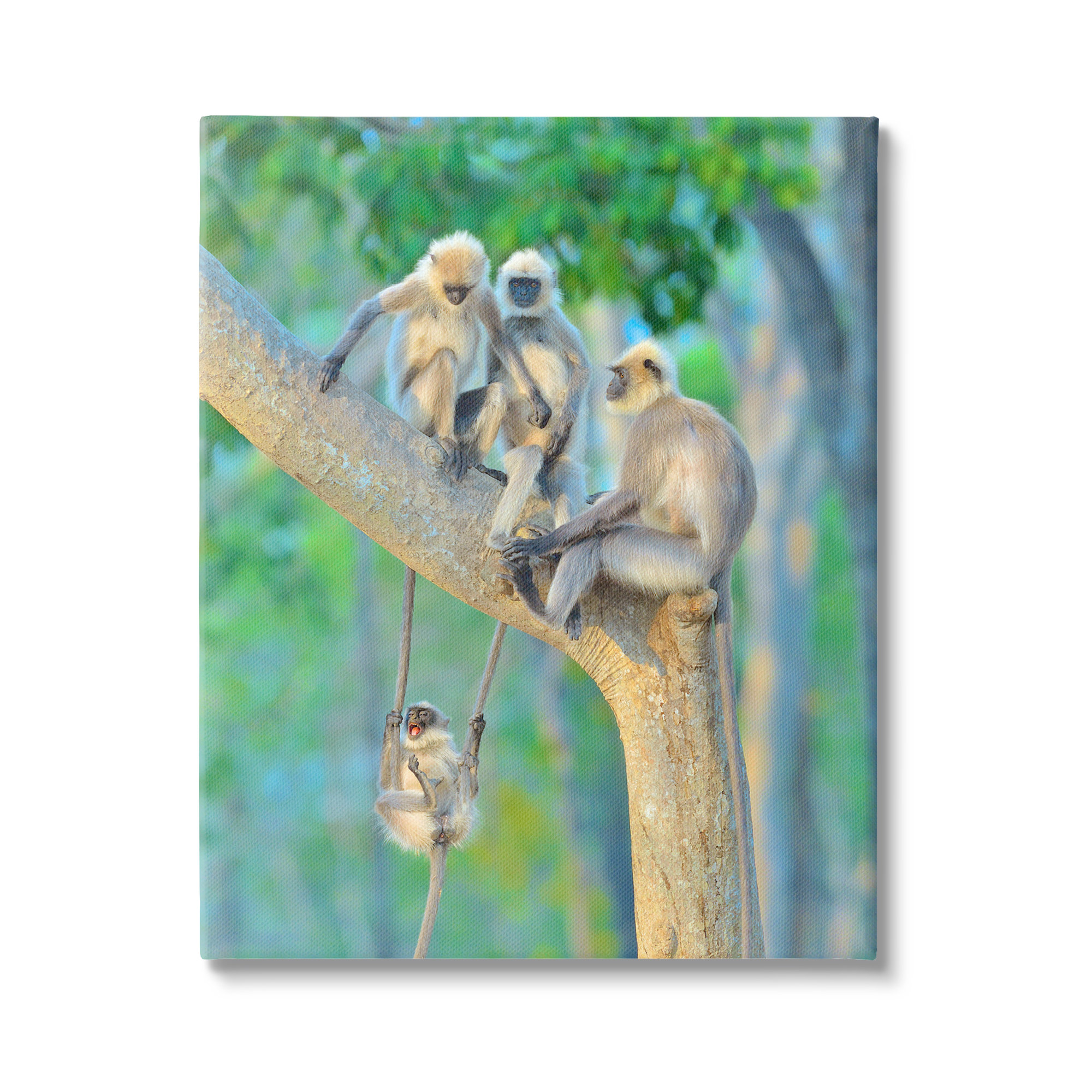 Bungalow Rose Fun Playing Monkeys On Canvas by Thomas Vijayan Print ...