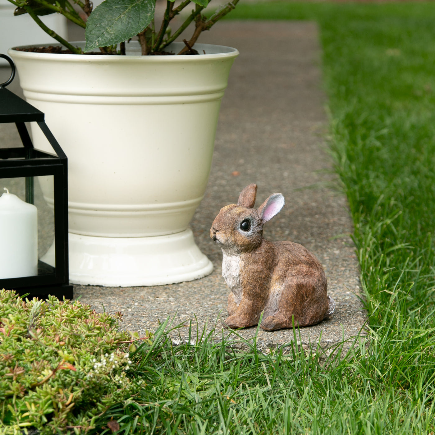 Gracie Oaks GARDEN SITTING BUNNY STATUE - Wayfair Canada