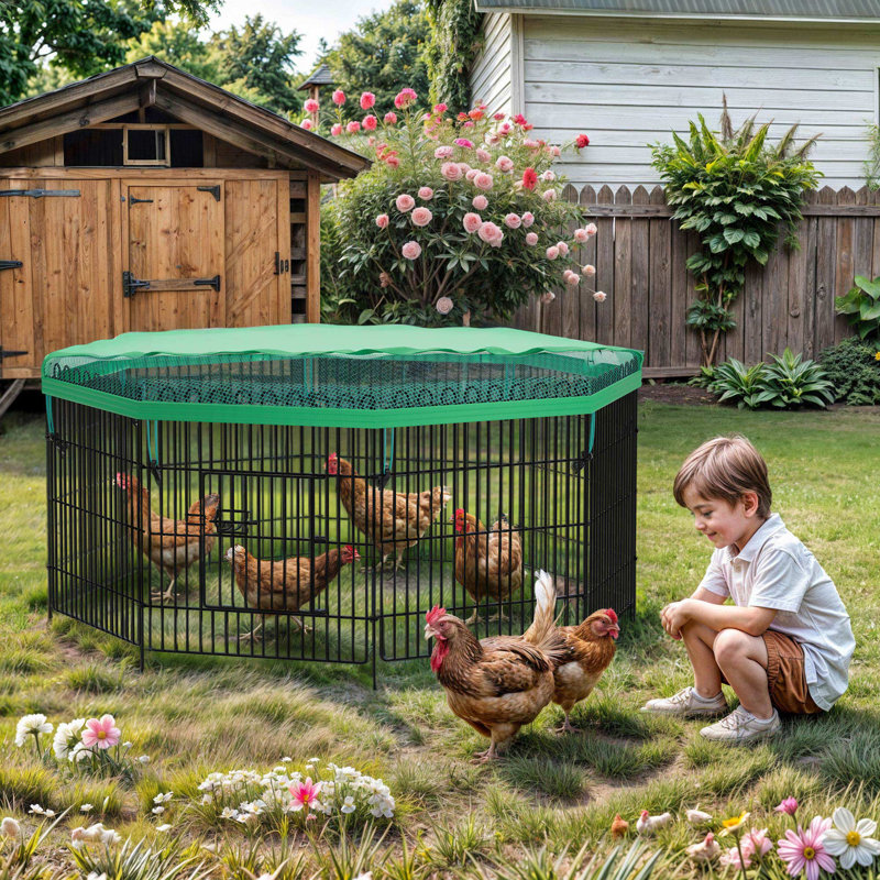 Tucker Murphy Pet™ Fattal 8-panel 14.32 ft² Chicken Run | Wayfair