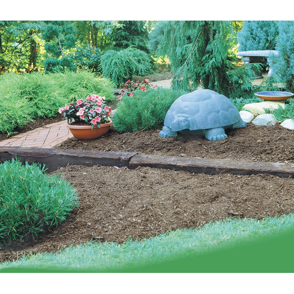 EMSCO Group Darwin The Galapagos Turtle Plastic Wall Mounted Hose Reel ...