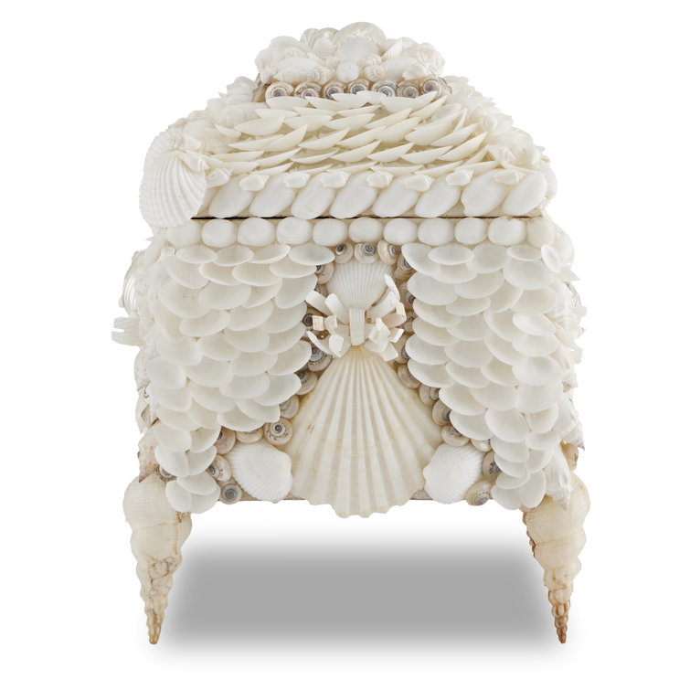 Currey & Company Boardwalk Shell Jewelry Box | Perigold