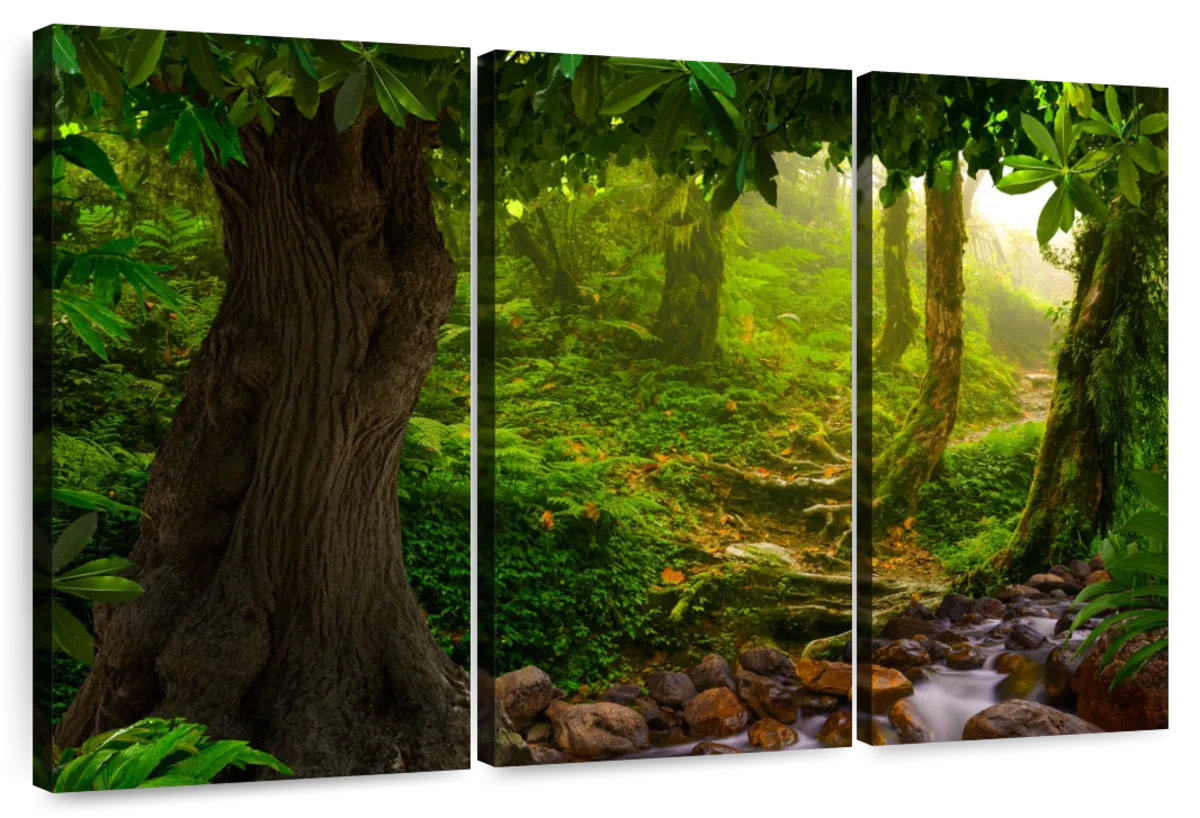 Millwood Pines Alvord Lush Asian Jungle | Wayfair