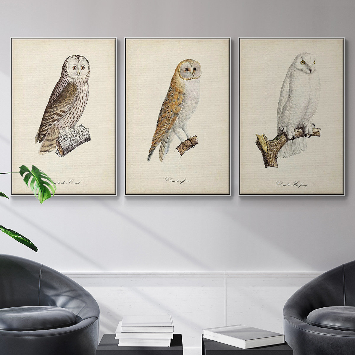 Wexford Home French Owls IV Framed On Canvas 3 Pieces Print | Wayfair