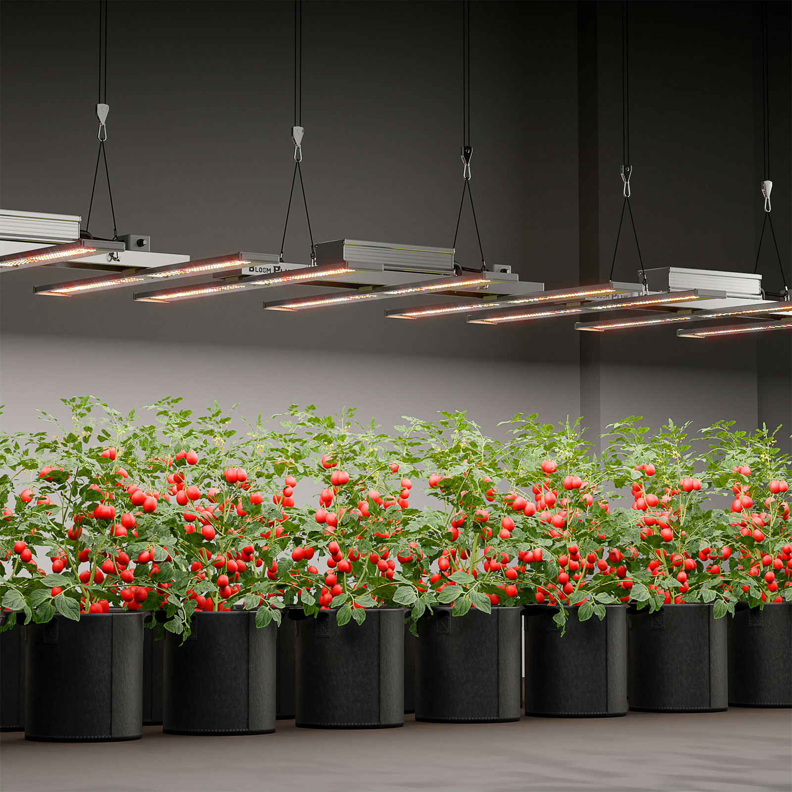 Bloom Plus BP3000 PRO 300W Dimmable LED Grow Light Bar Full Spectrum ...