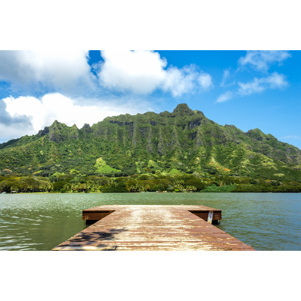 Millwood Pines Molii Fishpond On Canvas by Islandleigh Photograph | Wayfair