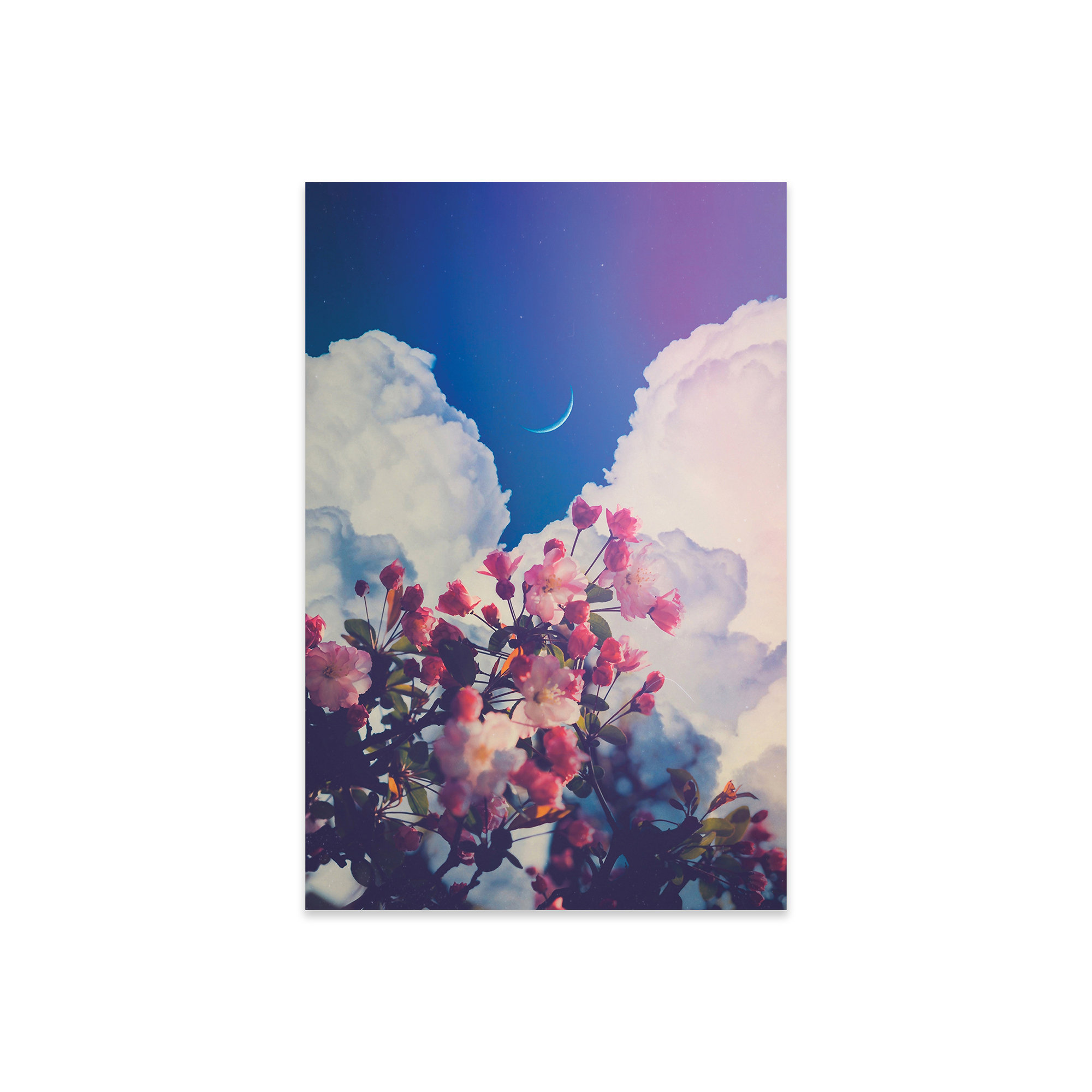 Winston Porter Aesthetic Pink Flowers Crescent Moon And Clouds Print On ...