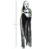 The Holiday Aisle® 60" Outdoor Halloween Decorations Hanging Ghost ...