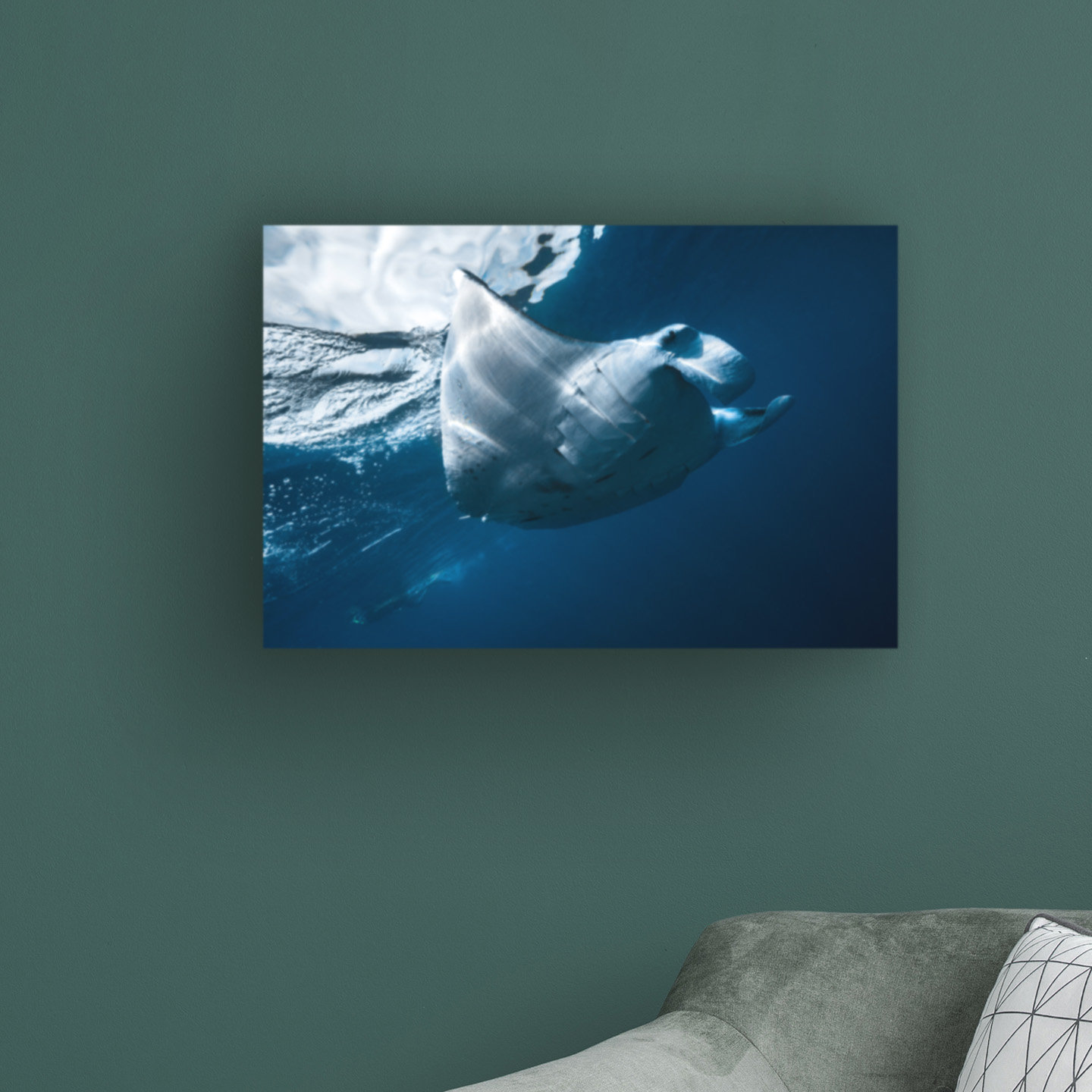 Highland Dunes Flying Manta Ray by Barathieu Gabriel - Wrapped Canvas ...