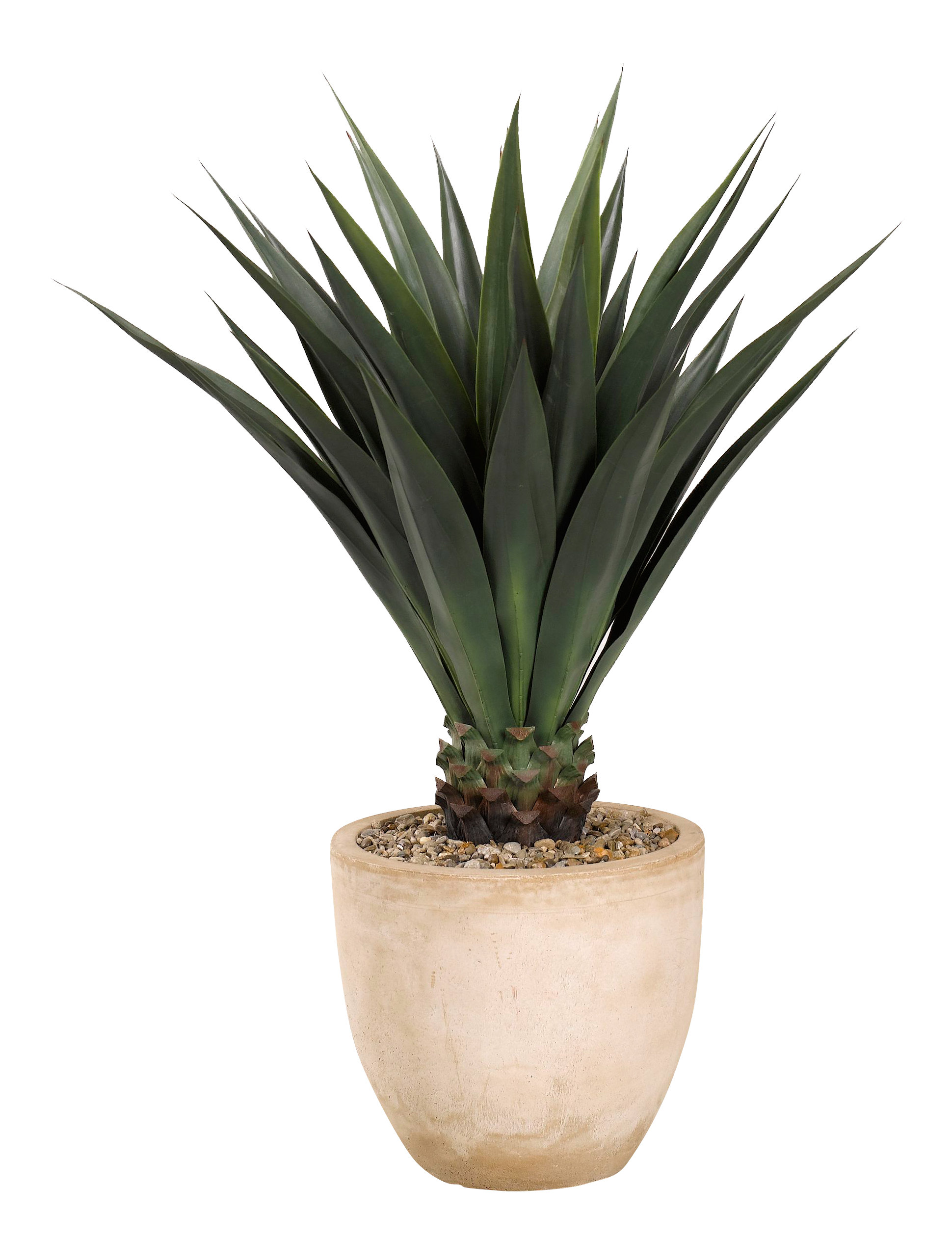 Foundry Select Agave Floor Plant in Planter | Wayfair
