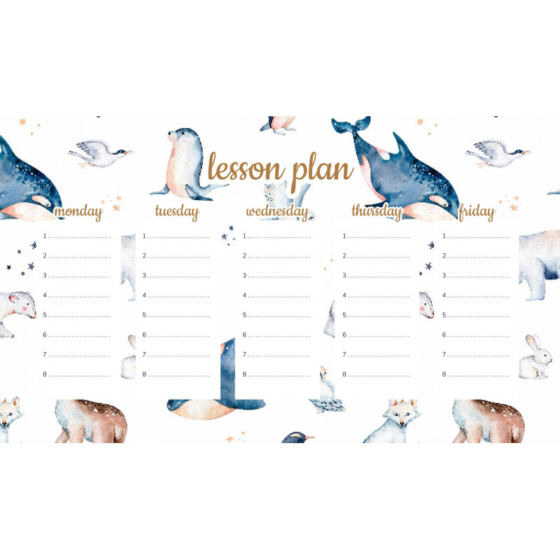 Wallvy Magnetic Lesson Plan Polar Animals | Wayfair.co.uk