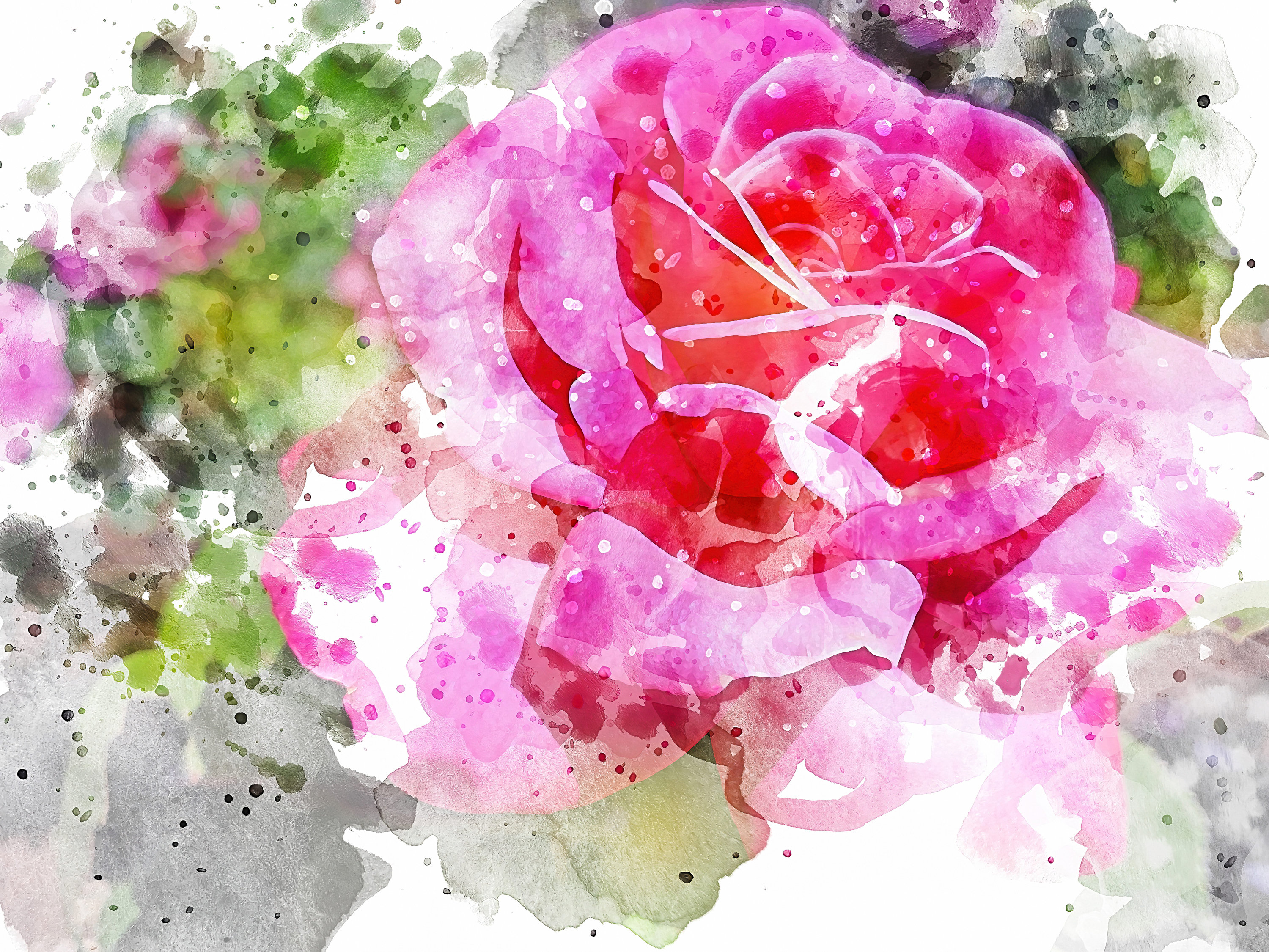 Wrought Studio™ Borlase Floral In Bloom V On Canvas by Chamira Young ...