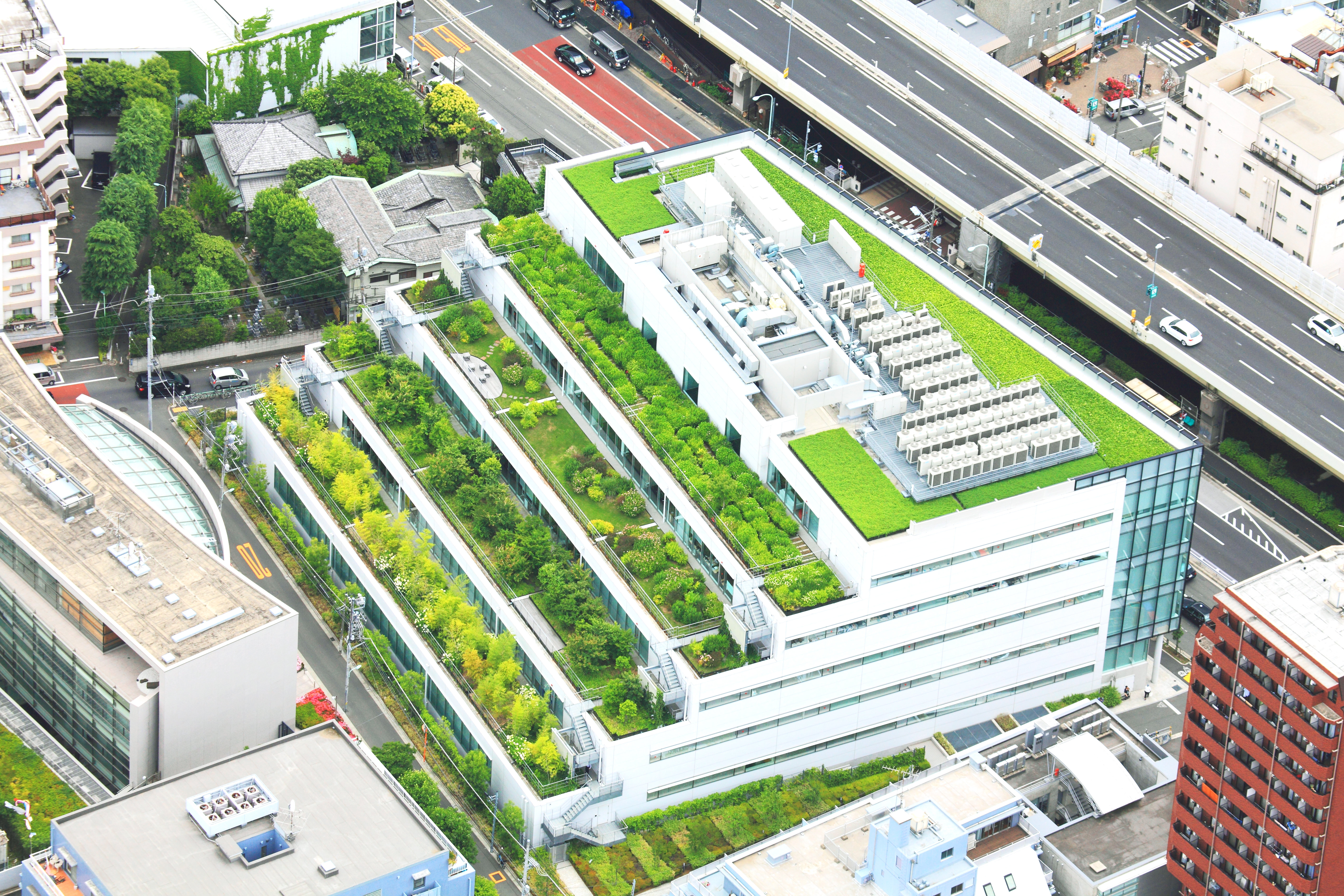 Ebern Designs Vakila Tokyo High-Rise Building Rooftop Garden On Canvas ...