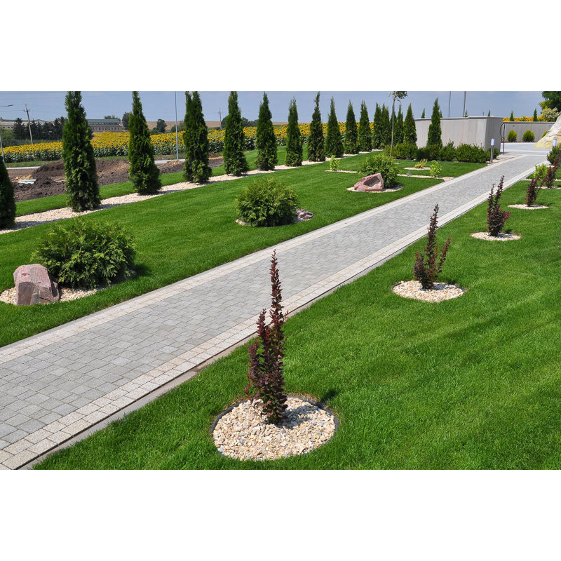 Master Mark Plastics Master Gardener Lifetime Coiled Edging 5 in x 40 ...