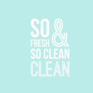 SweetumsWallDecals So Fresh and So Clean Bathroom Wall Decal & Reviews ...